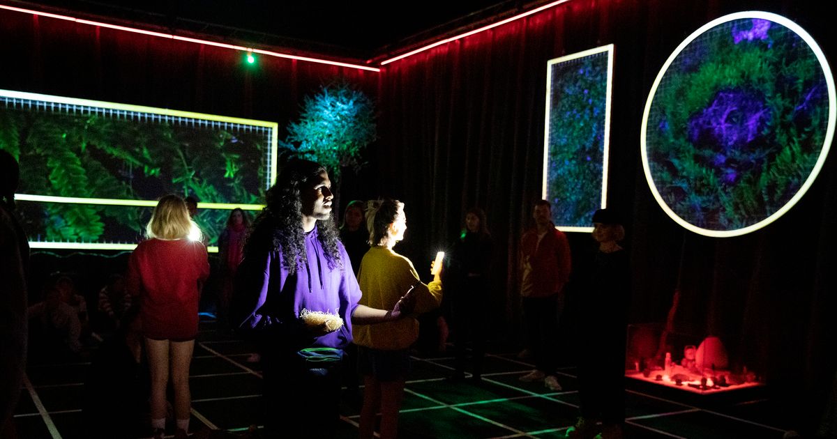 Frascati Issues | Frascati